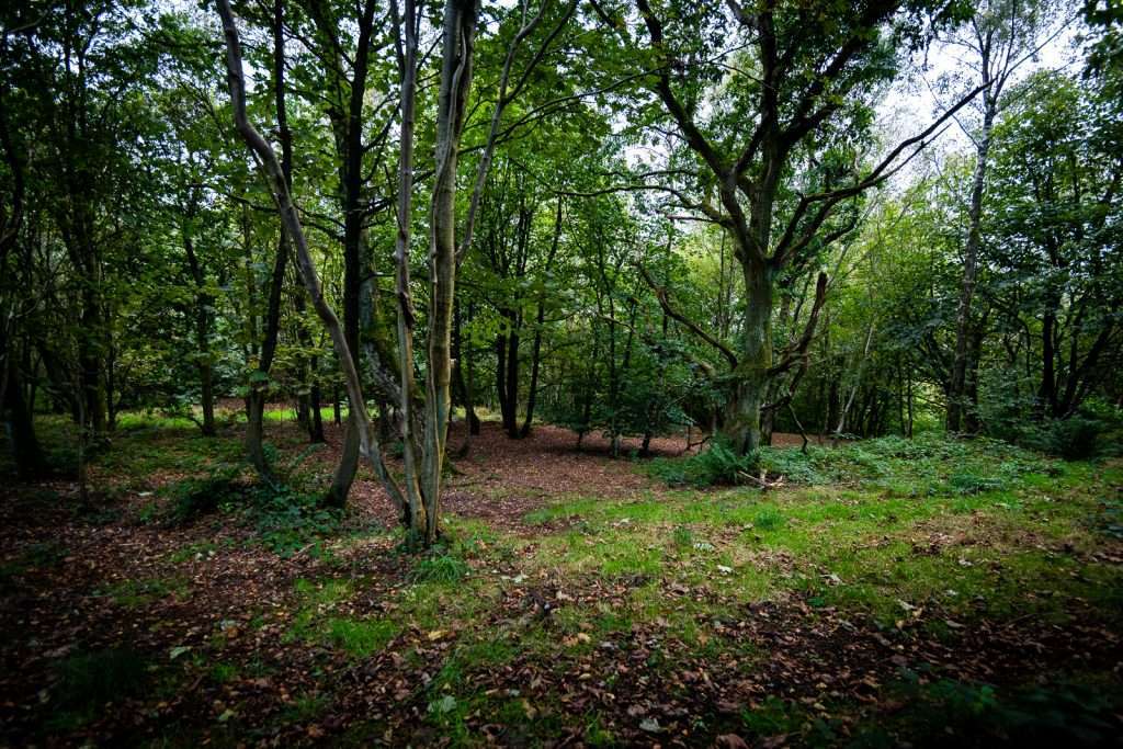 About us - Woodsworth Exploring