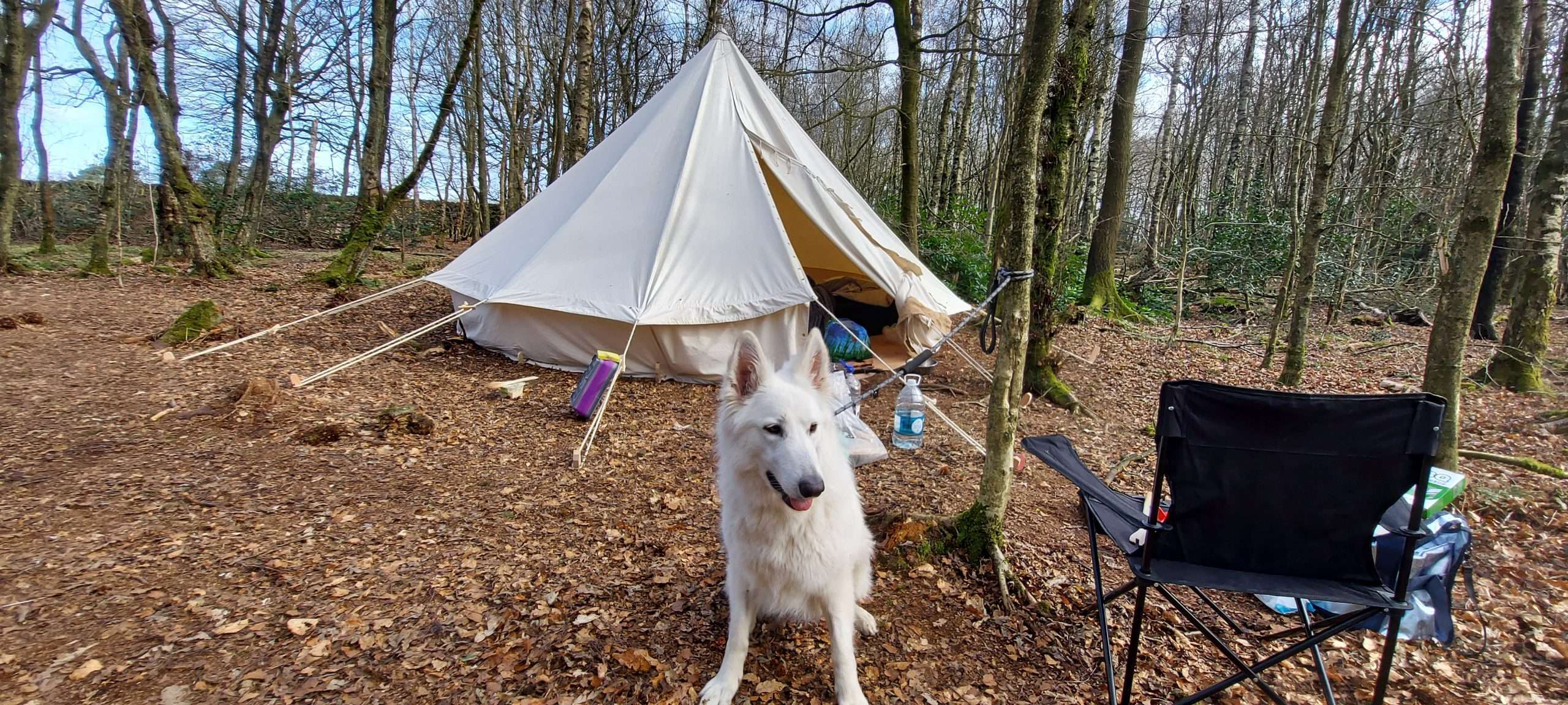 Woodland Pitch - Tents up to 7m*4m - Woodsworth Exploring