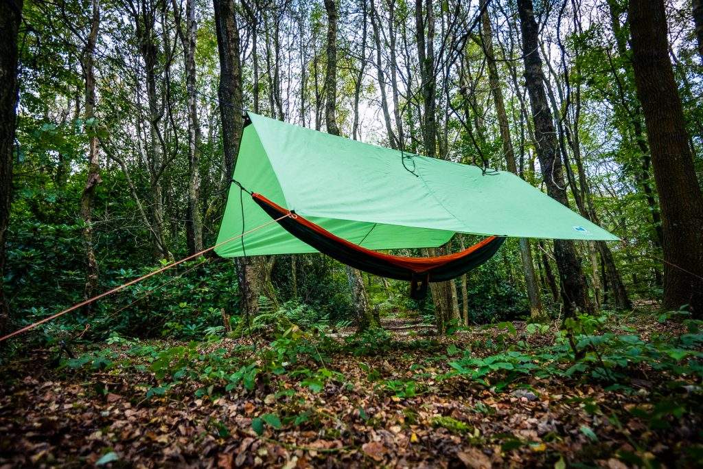 Woodsworth Exploring Home - Woodsworth Exploring